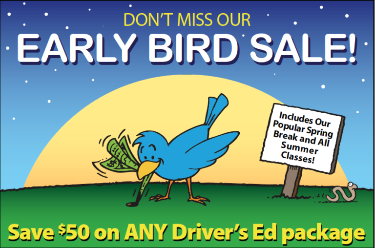 Drive Smart Georgia: Atlanta Area Driving School Drive Smart Georgia